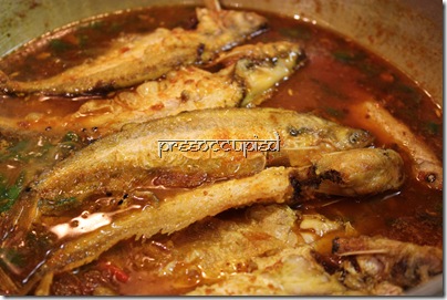 PreeOccupied: How Pabda Got Discussed, Got Cooked, and Got a Life